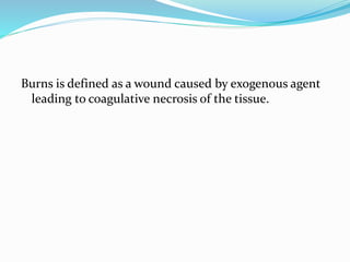 BURNS | PPTX