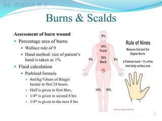 Burns & scalds | PDF