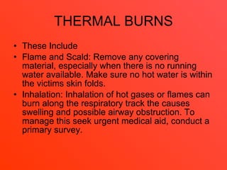 Burns | PPT