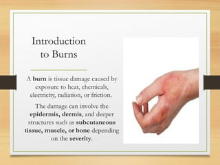 Burns and their types physiological changes.pptx