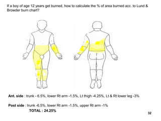 Burns, wounds & pressure sores | PPT