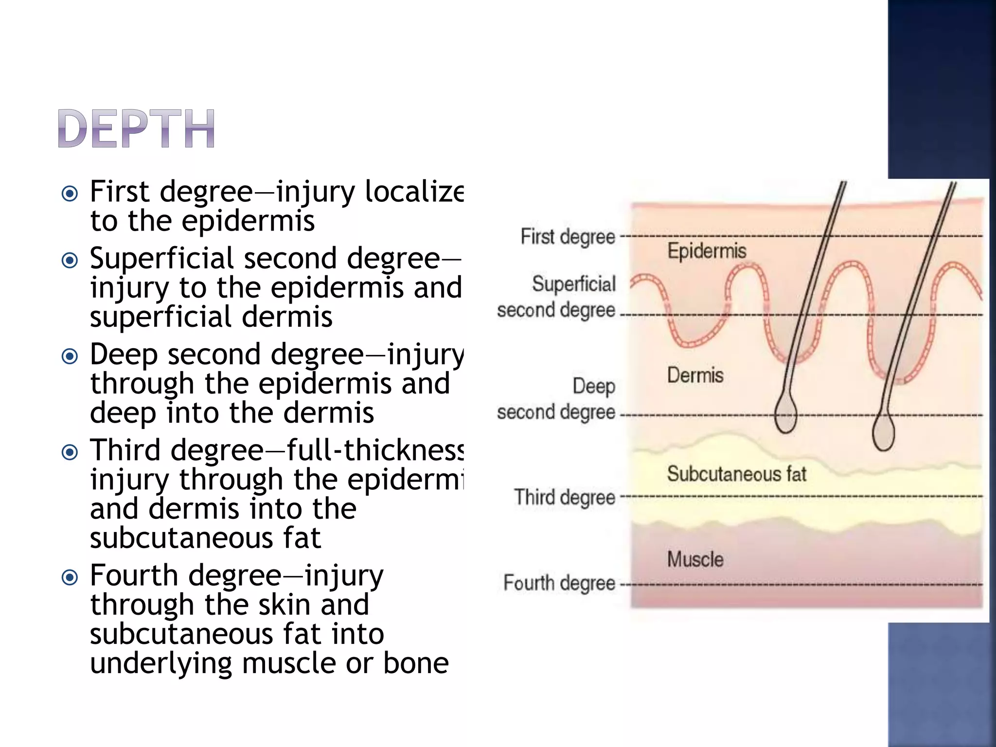 Burn wound management | PPTX