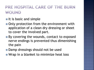 Burn wound management | PPTX