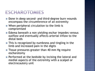 Burn wound management | PPTX