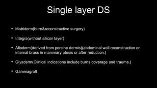 Burn Wound &Skin Substitutes | PPTX | Skin and Dermatology | Diseases ...