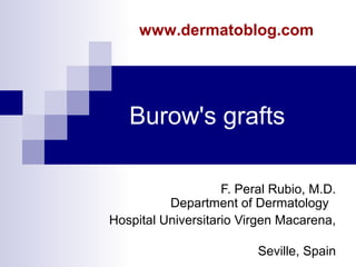 Burow,s garft | PPT