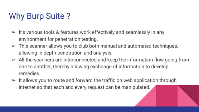 Burpsuite 101 | PPTX | Computing | Technology & Computing