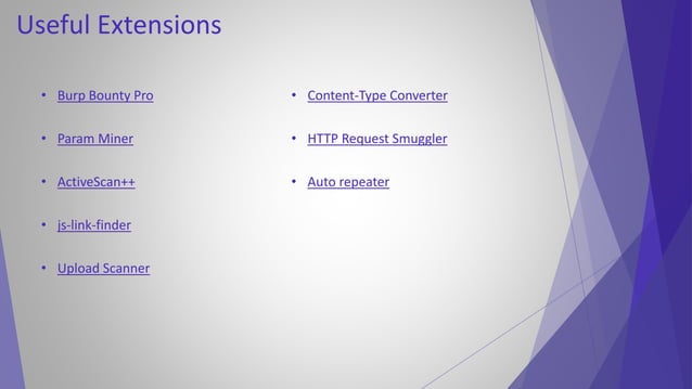 BurpSuiteOverview | PPT