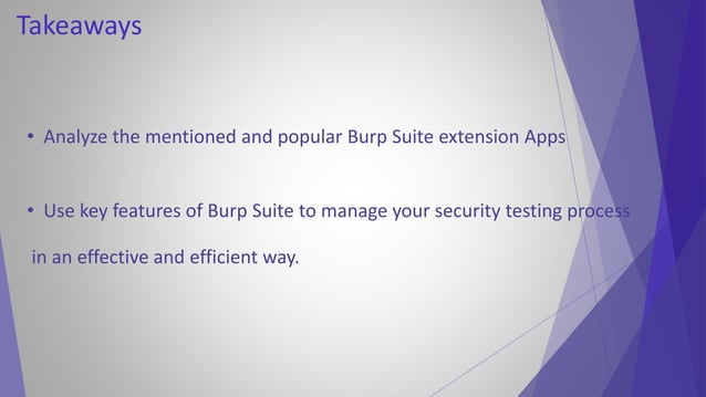 BurpSuiteOverview | PPT