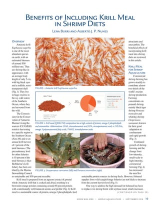Burri krill meal Nutrition in shrimp farming | PDF