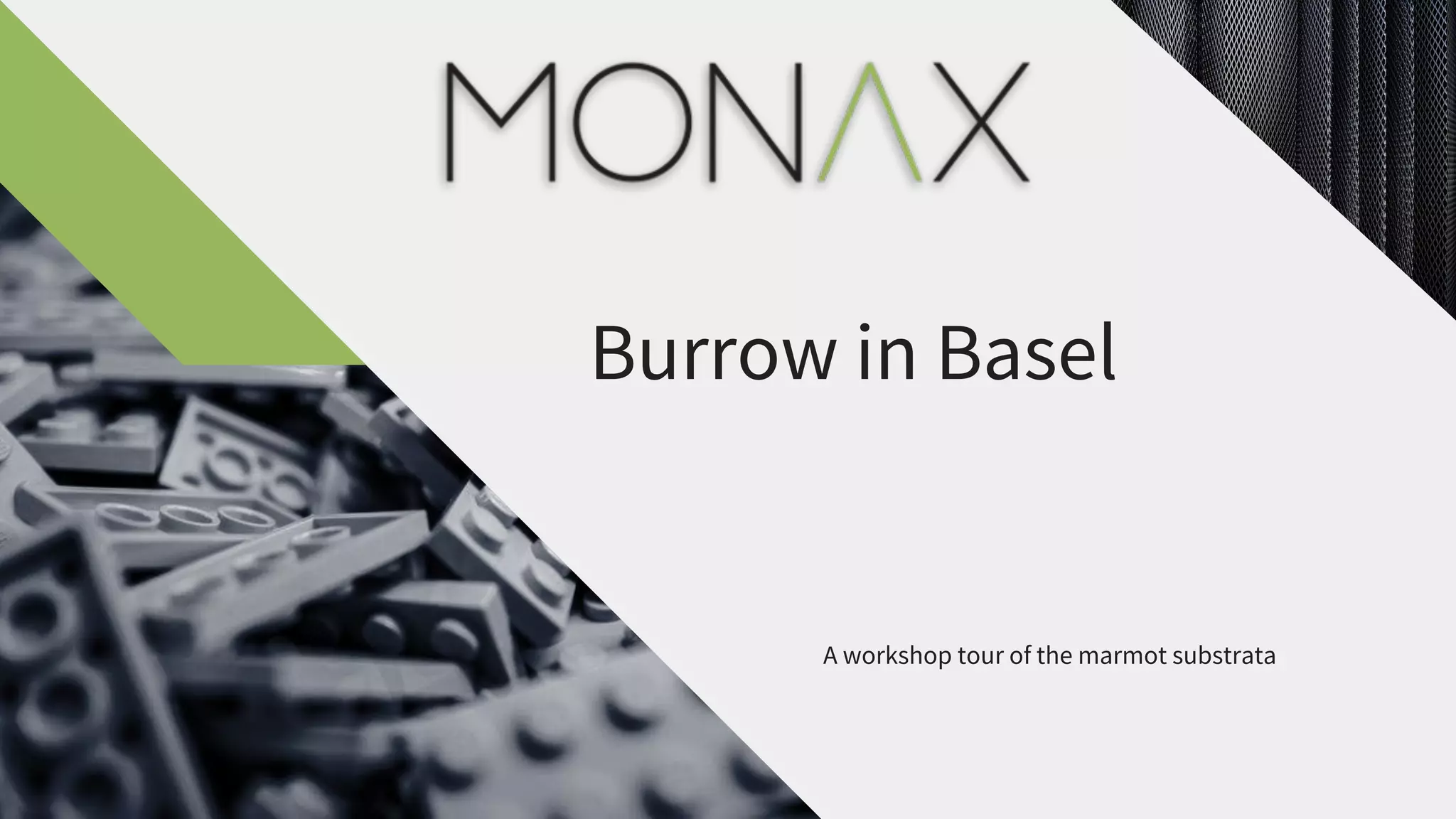 Burrow in basel | PPT