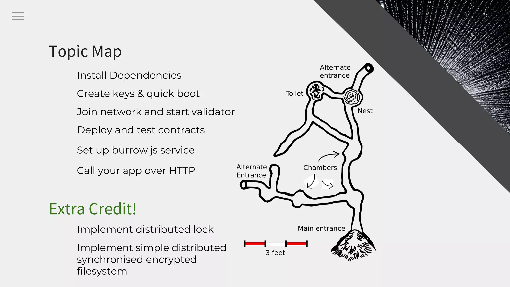 Burrow in basel | PPT