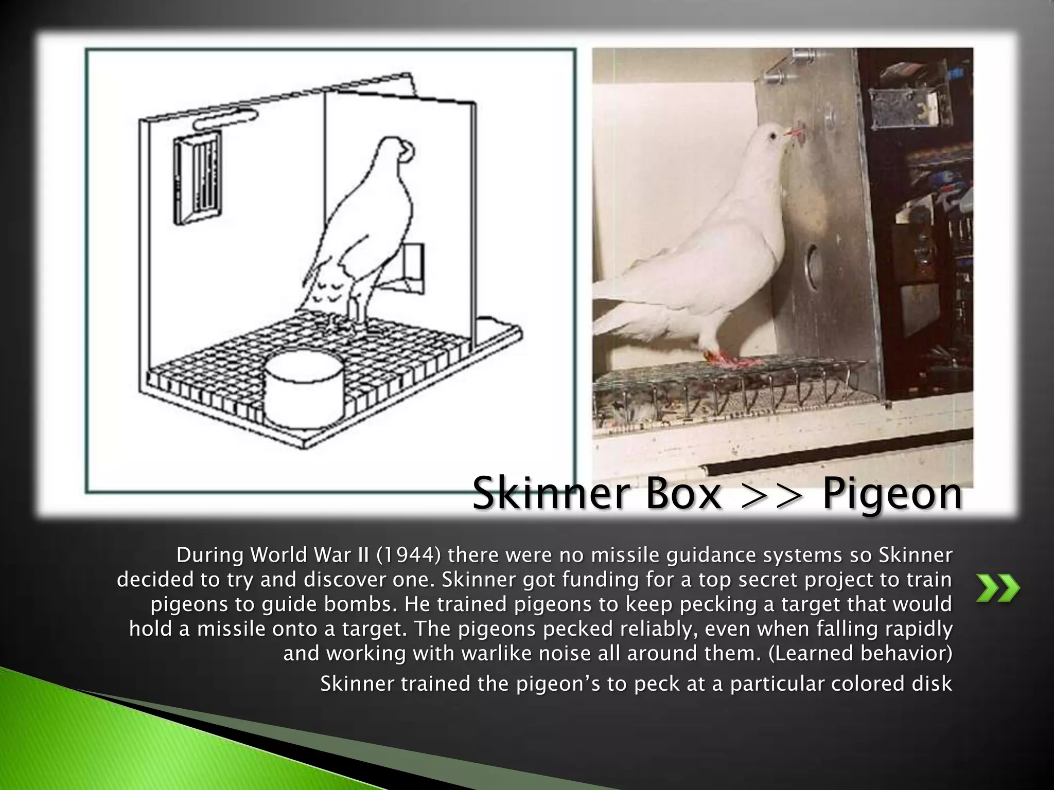 B.F. Skinner | PPTX