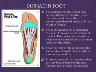 Bursare In Lower Extrimity | PPT