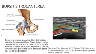 BURSAS ANATOMAI ECOGRAFICA Y ORIENTACION | PPTX