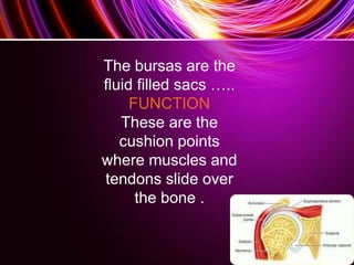 Bursitis | PPTX