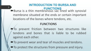 Bursitis | PPTX