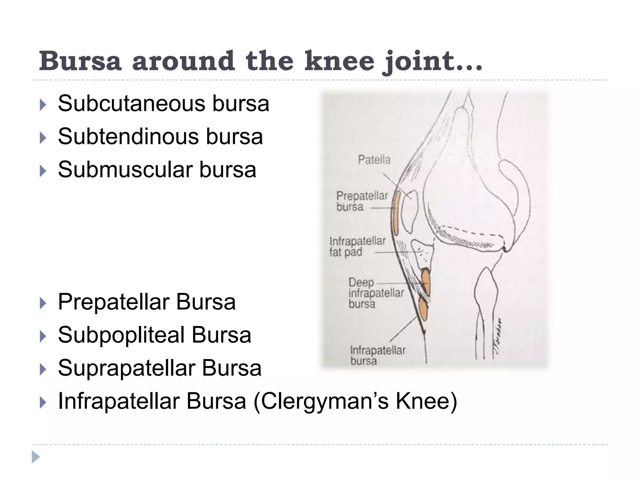 Bursitis | PPTX