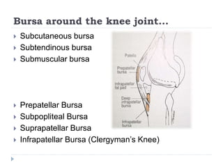 Bursitis | PPTX