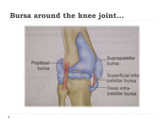 Bursitis | PPTX