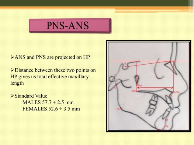 BURSTONE ANALYSIS : C.O.G.S ( HARD & SOFT TISSUE) | PPTX | Dental ...