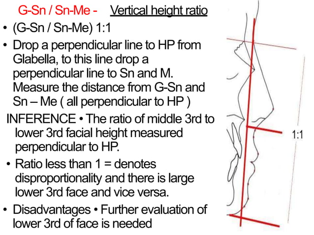 Burstone & Bjork.pptx