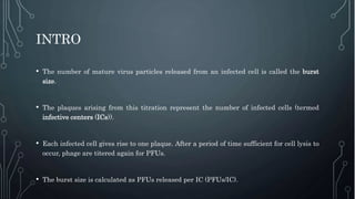 Burst size | PPT | Infectious Diseases | Diseases and Conditions