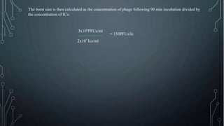 Burst size | PPT | Infectious Diseases | Diseases and Conditions