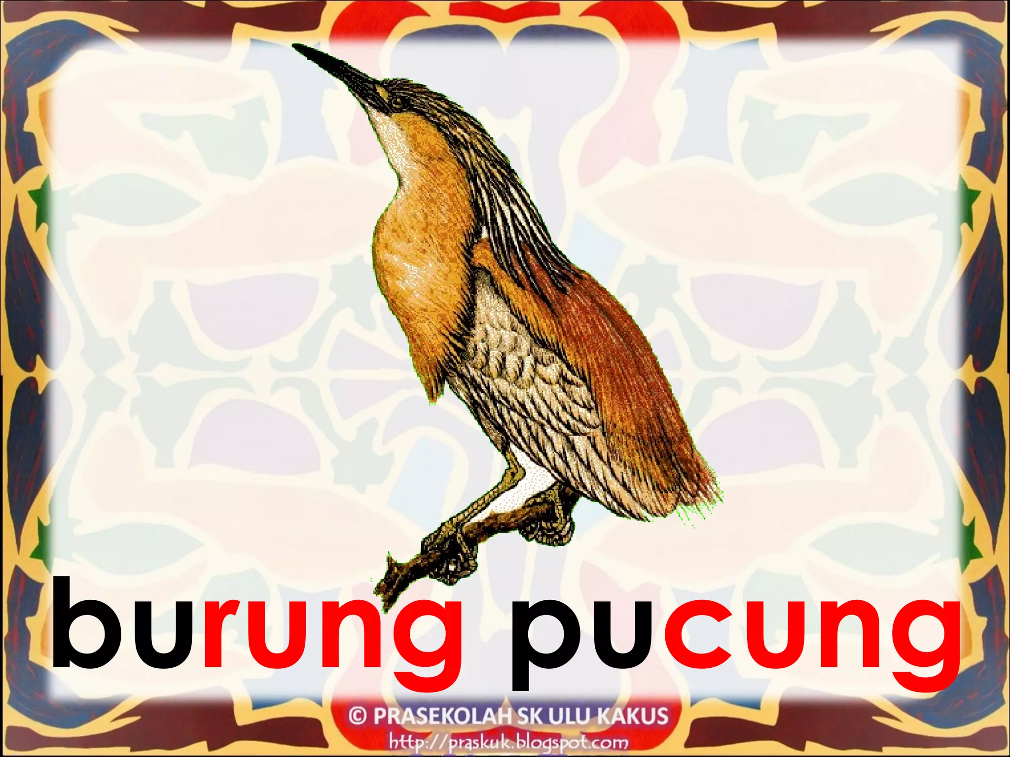 Burung | PPS