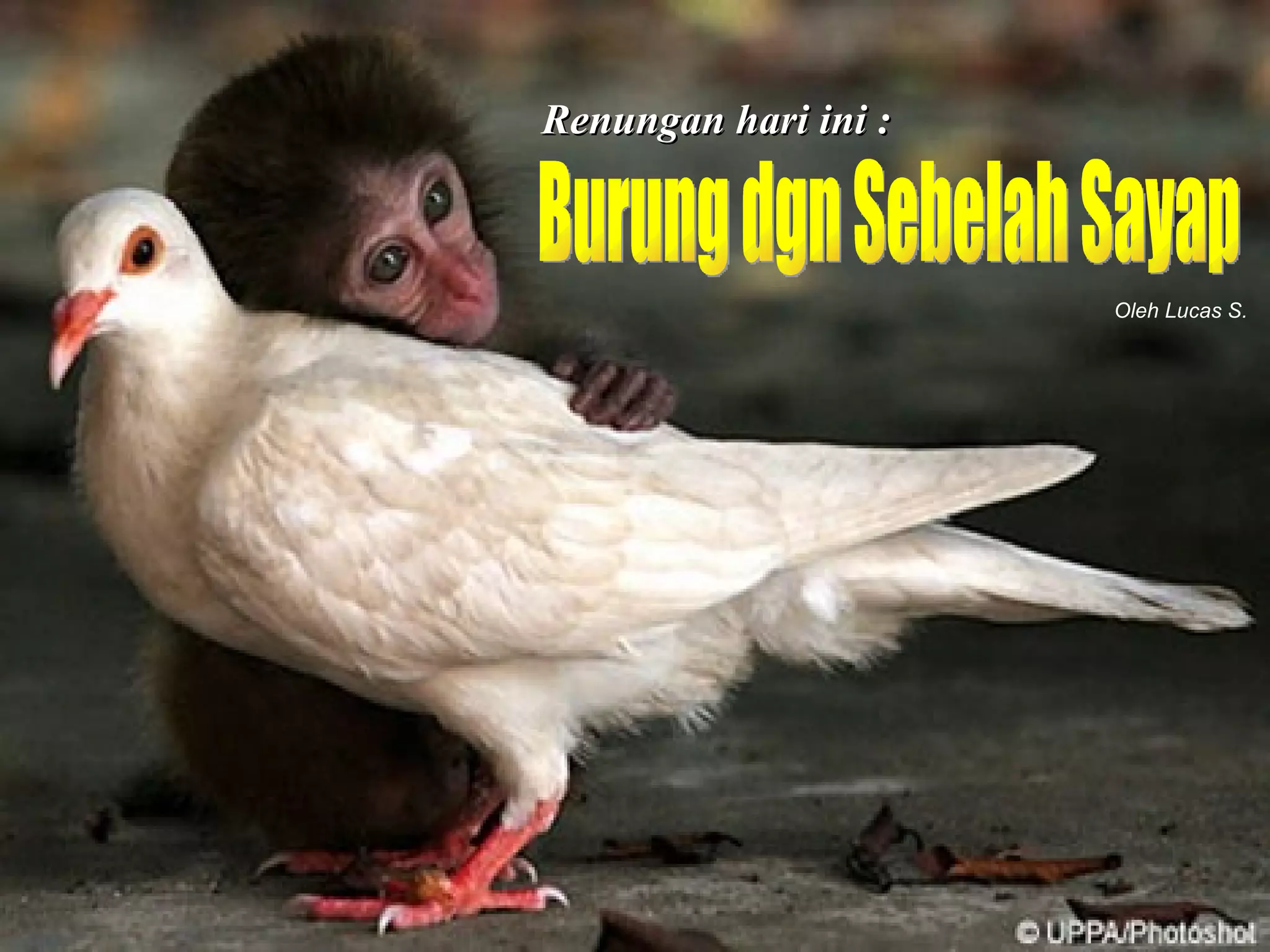 Burung Sebelah Sayap oleh Gede Prama | PPS