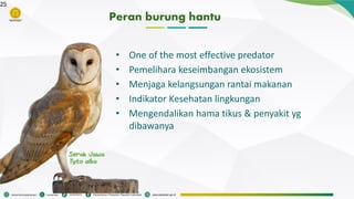 Burung hantu Ngobras aaaaaaaaaaaaaaaaaaaaaaaaaa | PPT