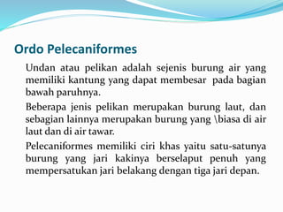 Burung Laut | PPTX
