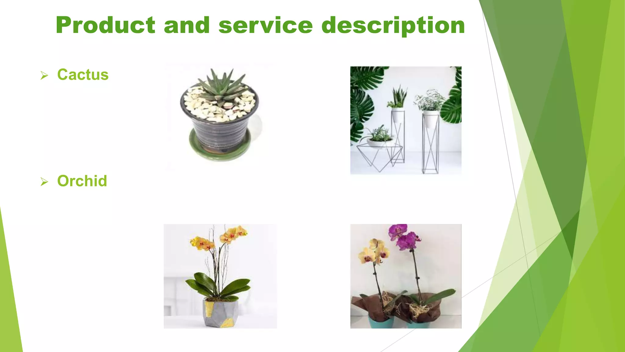 Nursery Business Plan | PPTX