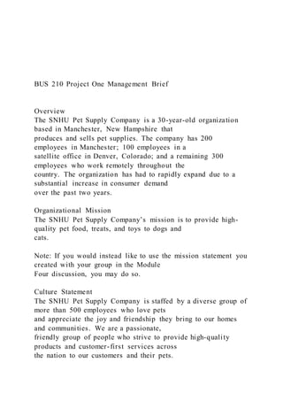 BUS 210 Project One Management Brief Overview The S | DOCX
