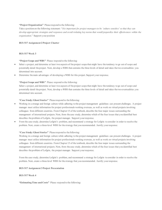 Bus 517 project management | DOCX