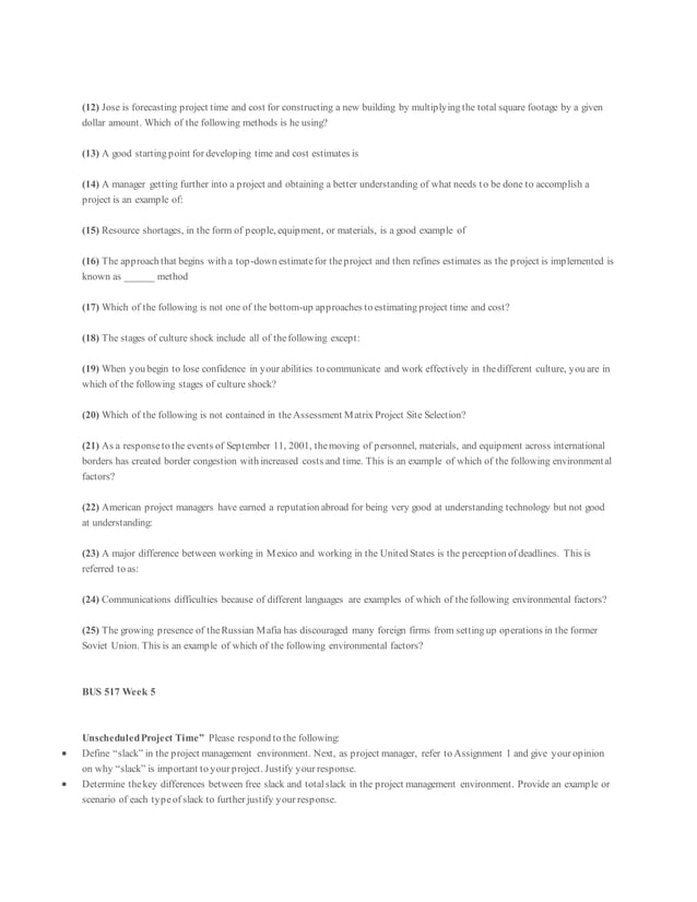 Bus 517 project management | DOCX