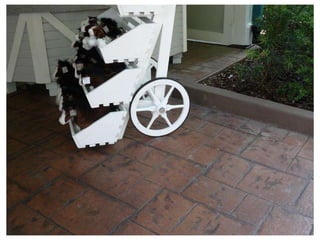 Increte Systems in Busch Garden | PPT