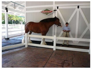 Increte Systems in Busch Garden | PPT