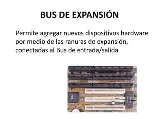 Bus datos | PPTX