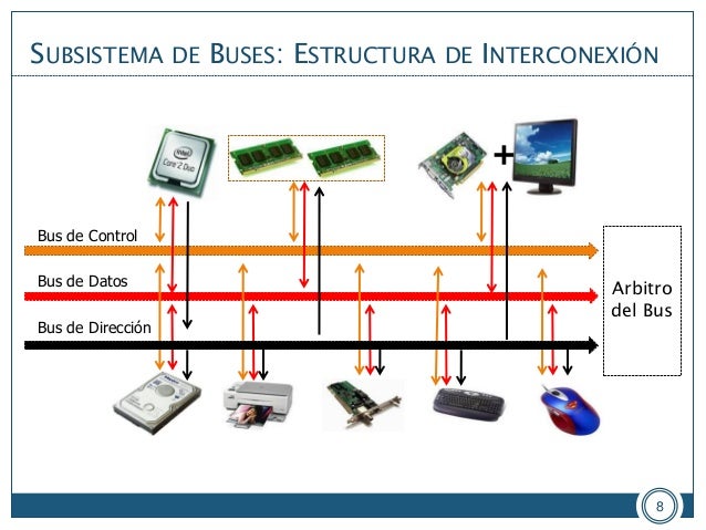 BUSES, TIPOS Y FUNCIONES