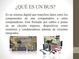 Buses | PDF