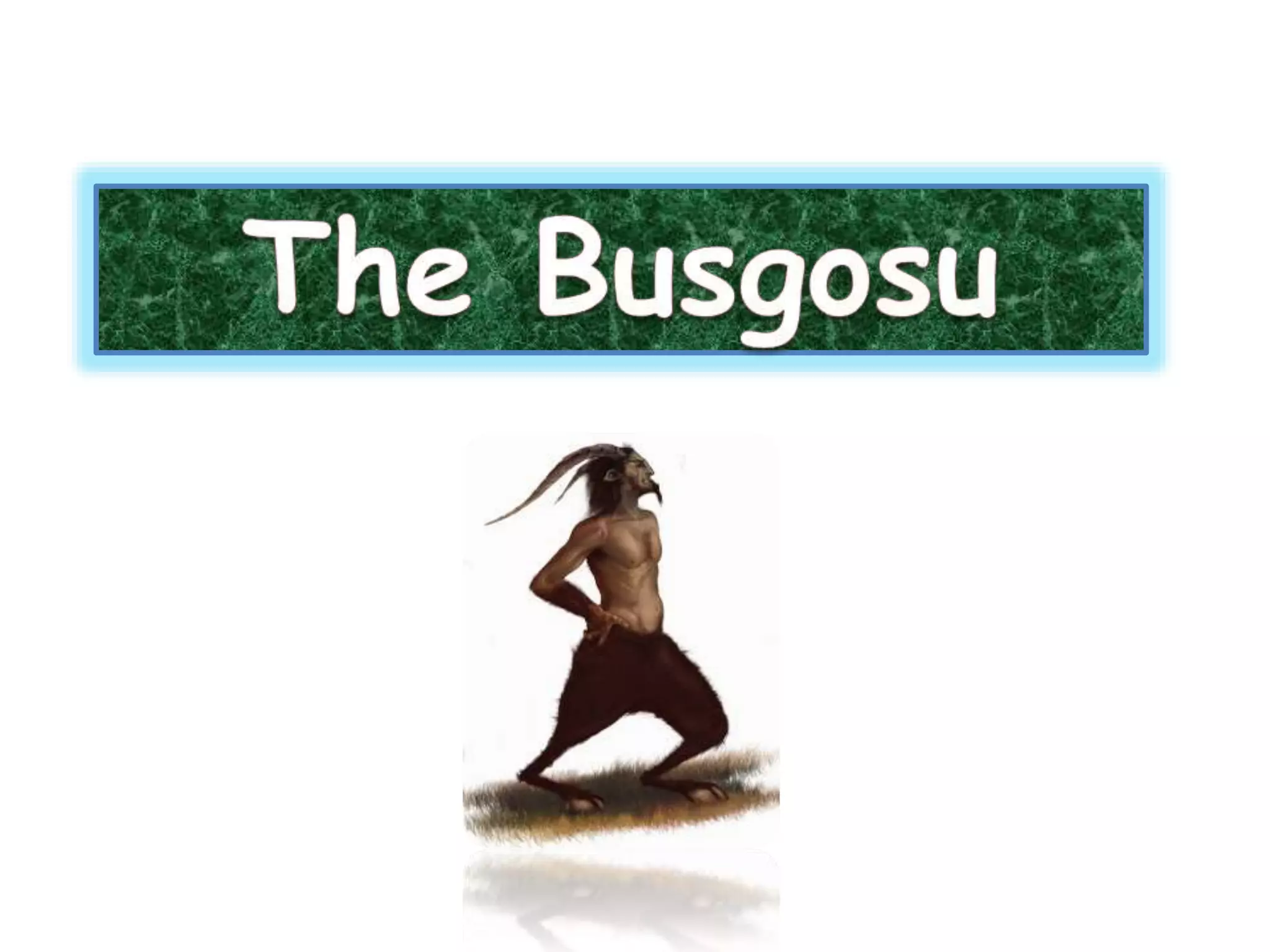 Busgosu - English version | PPT