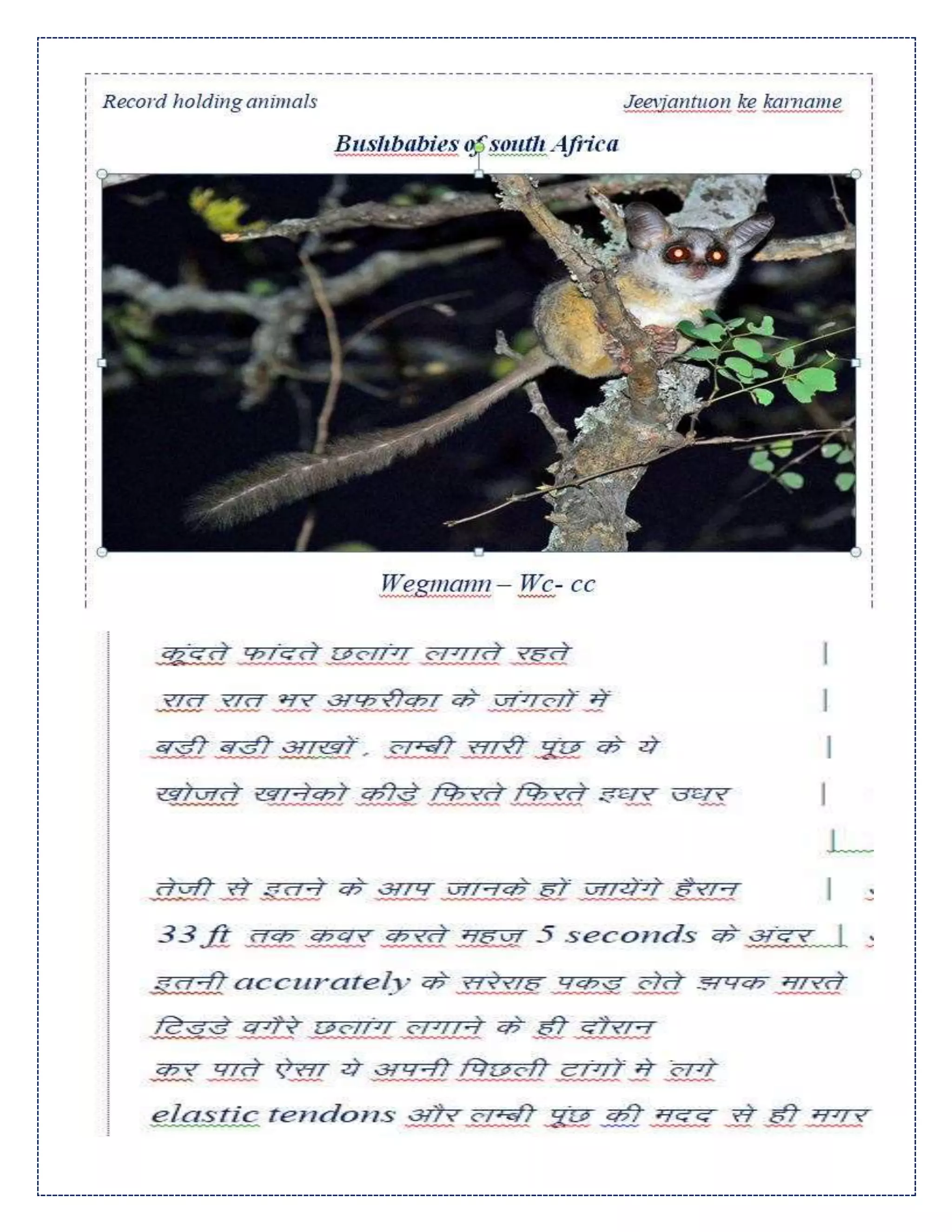 Record holding animals Jeev jantuon ke karname chapter 1 -leap orjump-Bushbabies | PDF