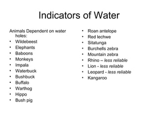 Bushcraft and Survival | PPT