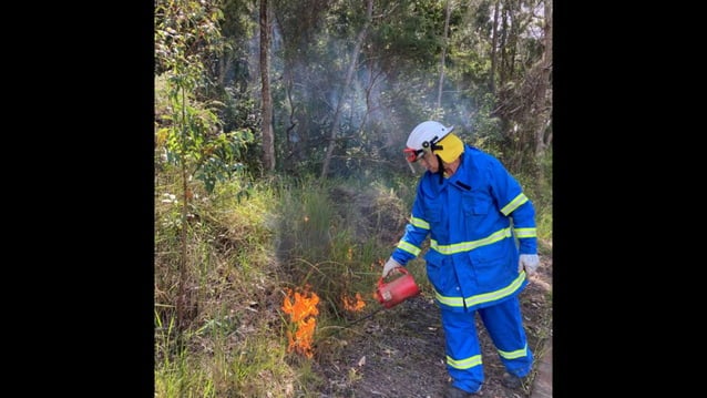 Bush fire fighter.pptx