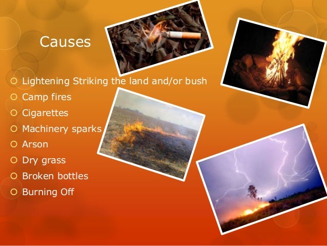 Bushfires