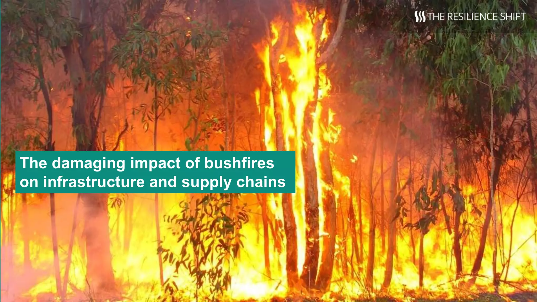 The damaging impact of bushfires on infrastructure and supply chains | PPT