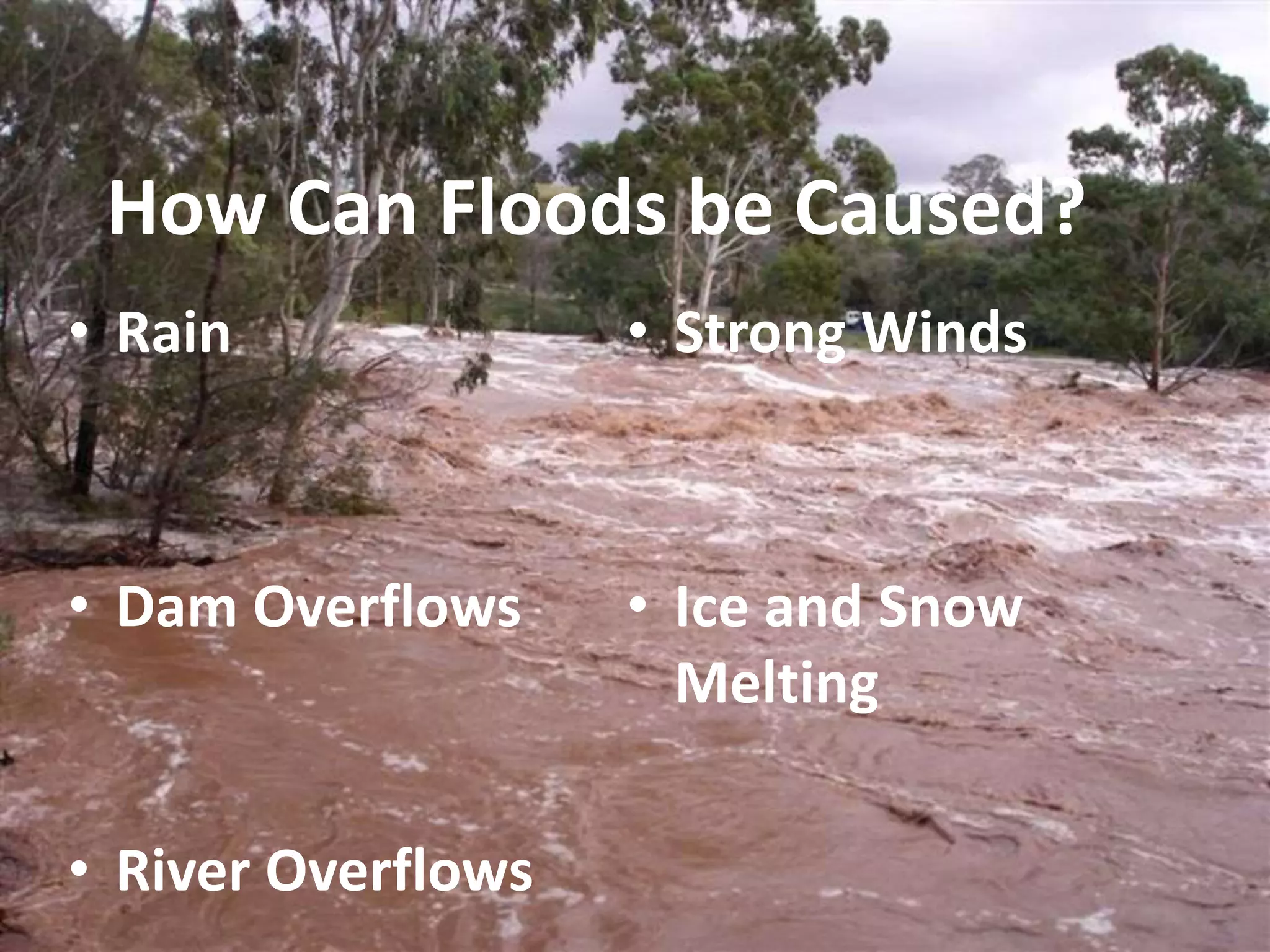 Bushfires and floods ppt | PPTX