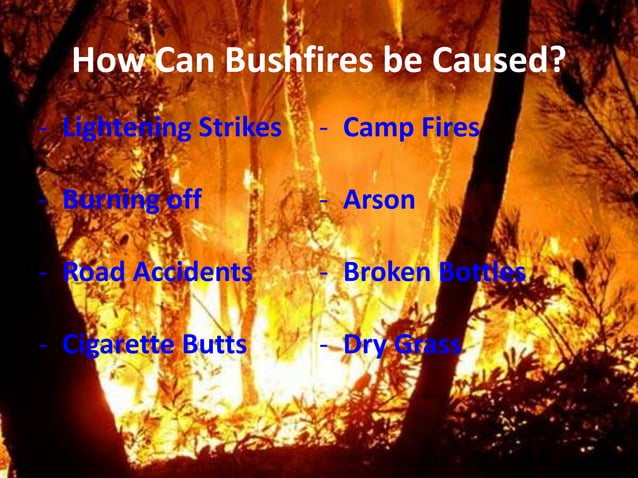 Bushfires and floods ppt | PPTX