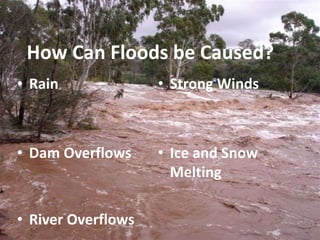 Bushfires and floods ppt | PPTX